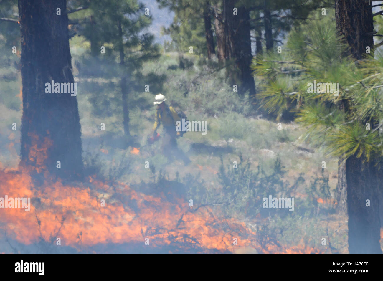 The Bureau of Land Management (BLM) manages wildfire control and ...