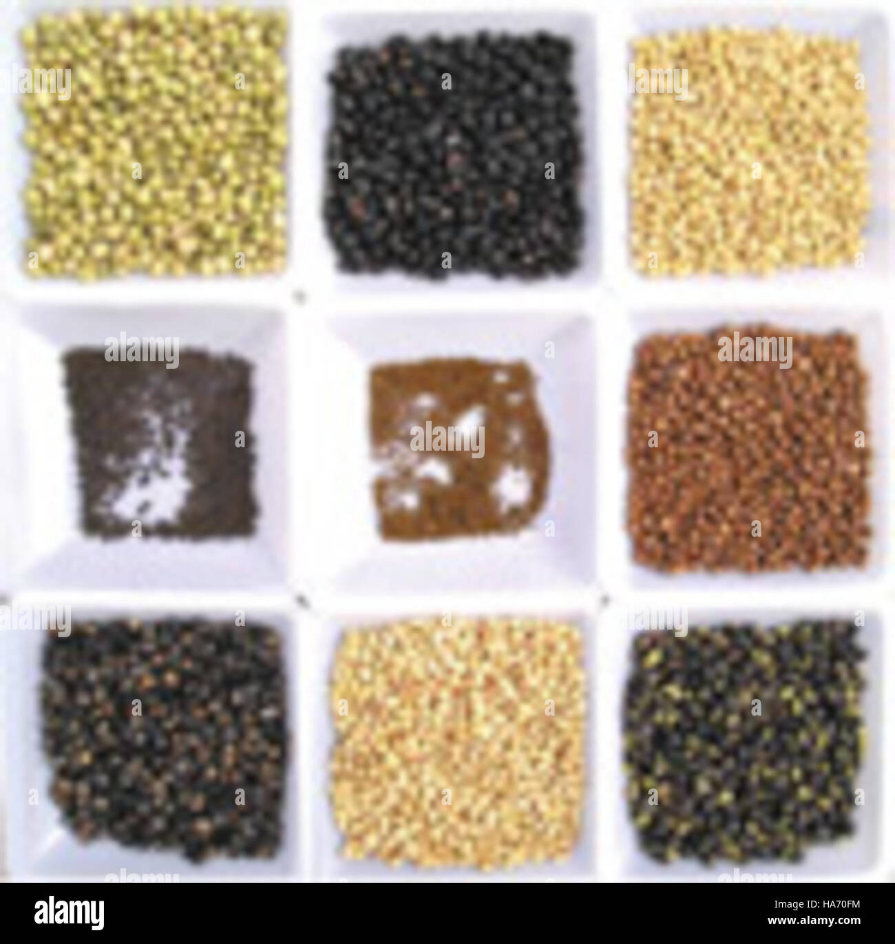 The USDA maintains a soybean germplasm collection, safeguarding genetic ...