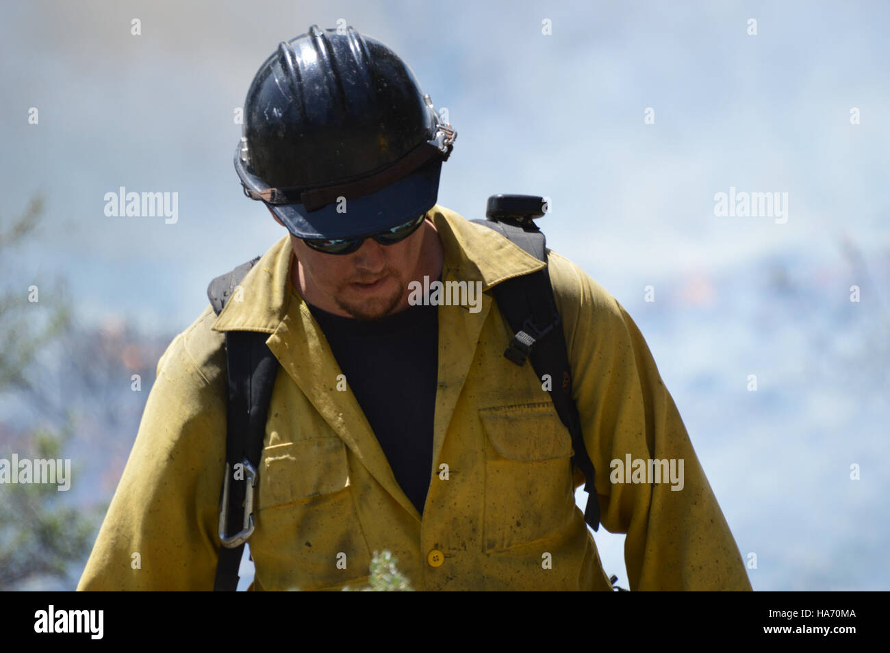 Firefighters work diligently to manage wildfires in Nevada's national ...