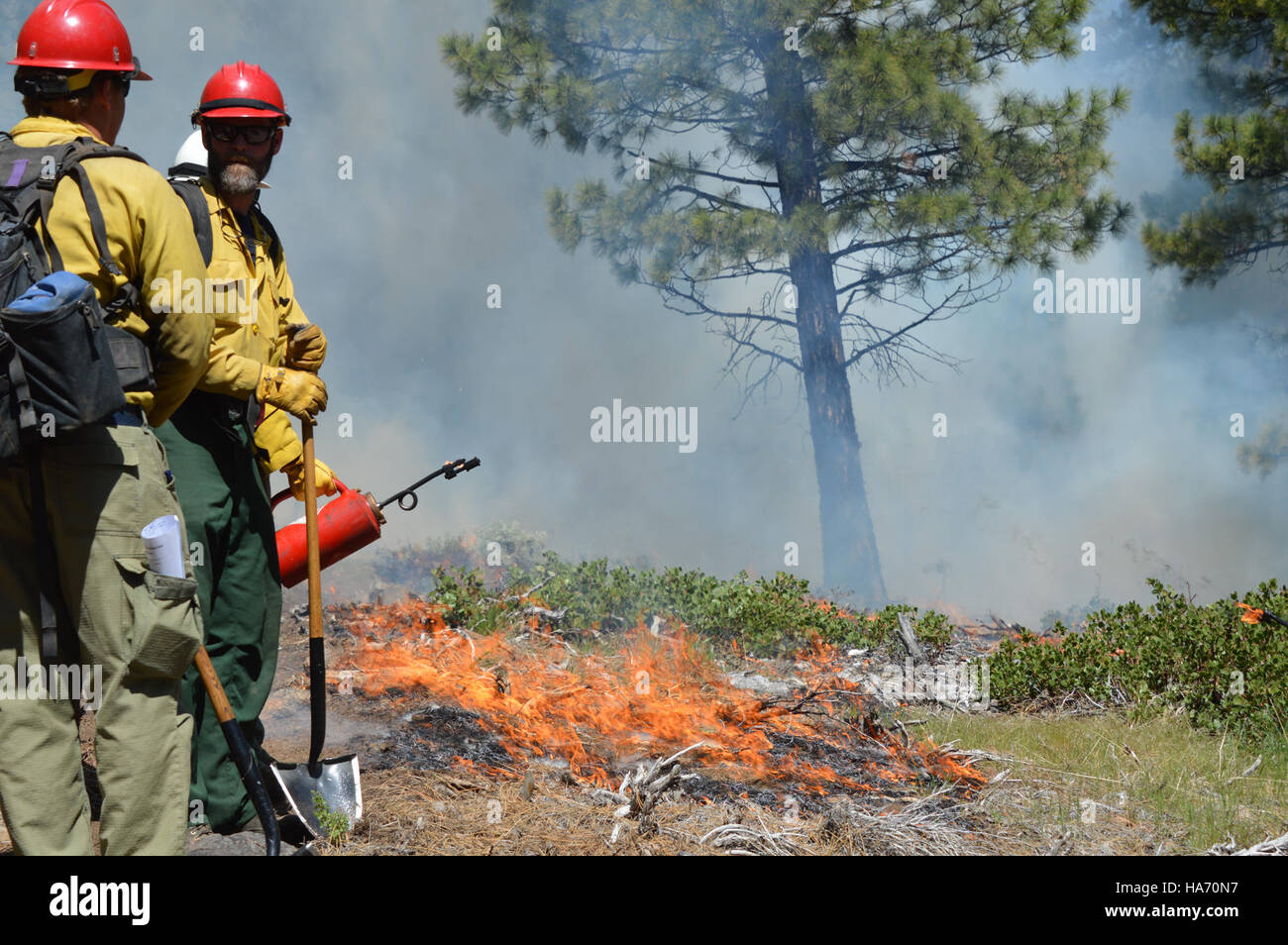 Firefighters in national parks play a critical role in protecting ...