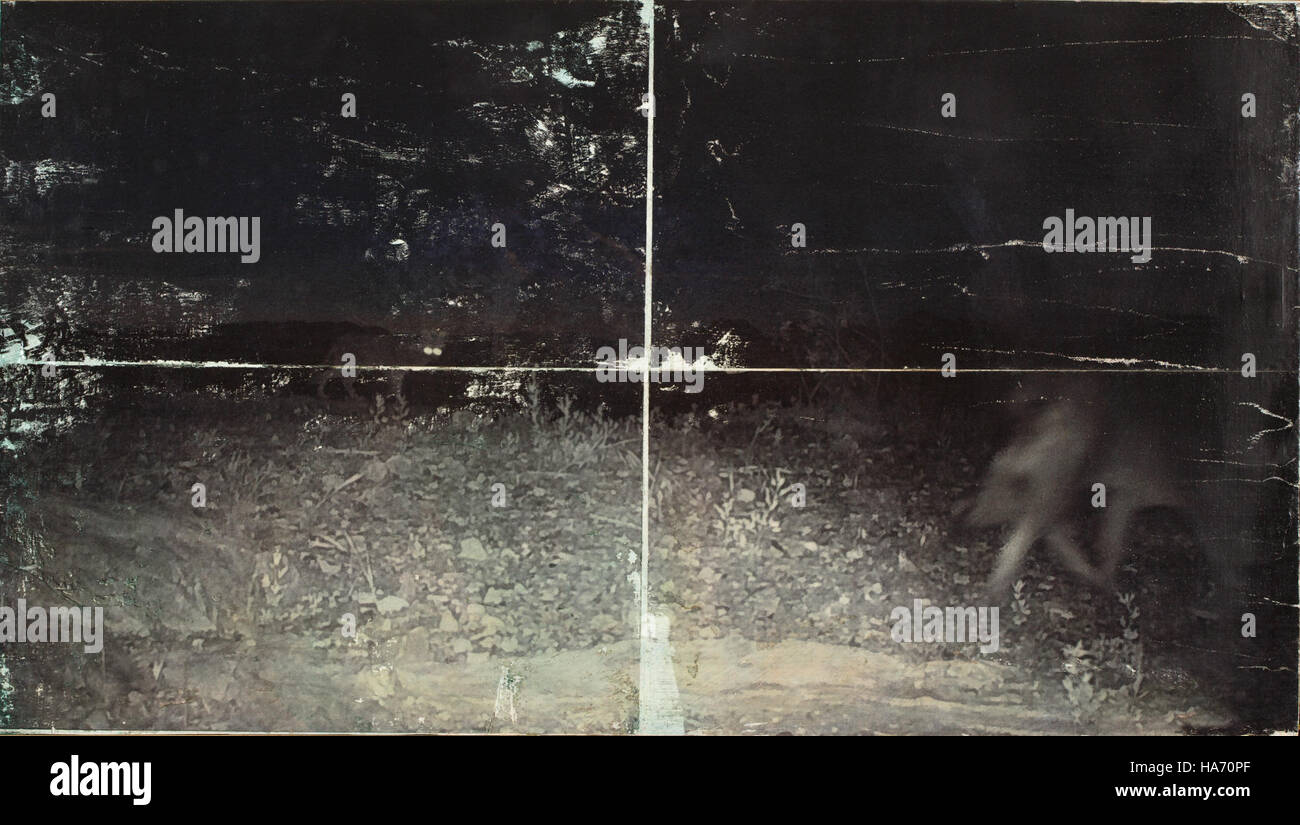 'Apparitions' by Sean Russell is a photography collection that captures the haunting beauty of ...