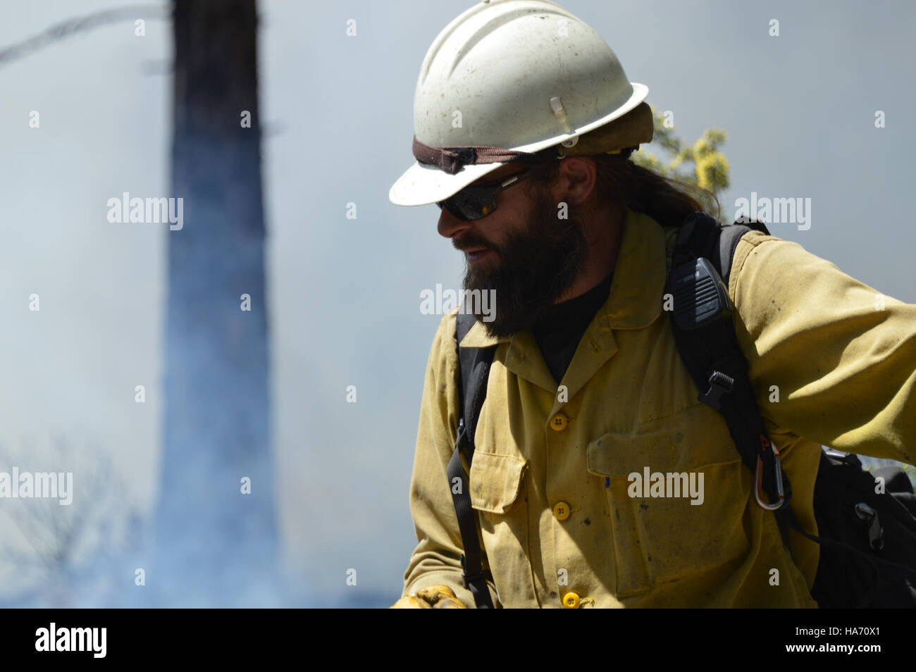 Firefighters work to control and prevent wildfires in national park and ...