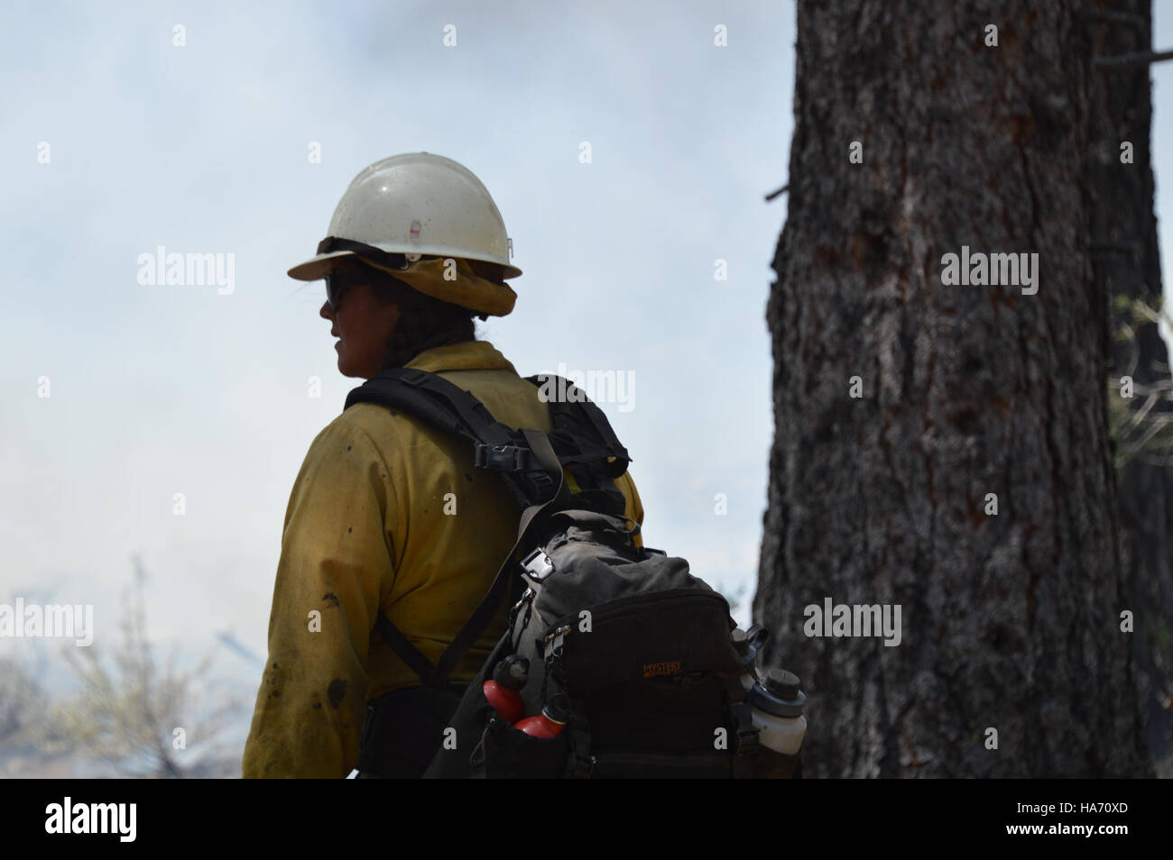 Firefighters work in a national park in Nevada, supporting efforts to ...