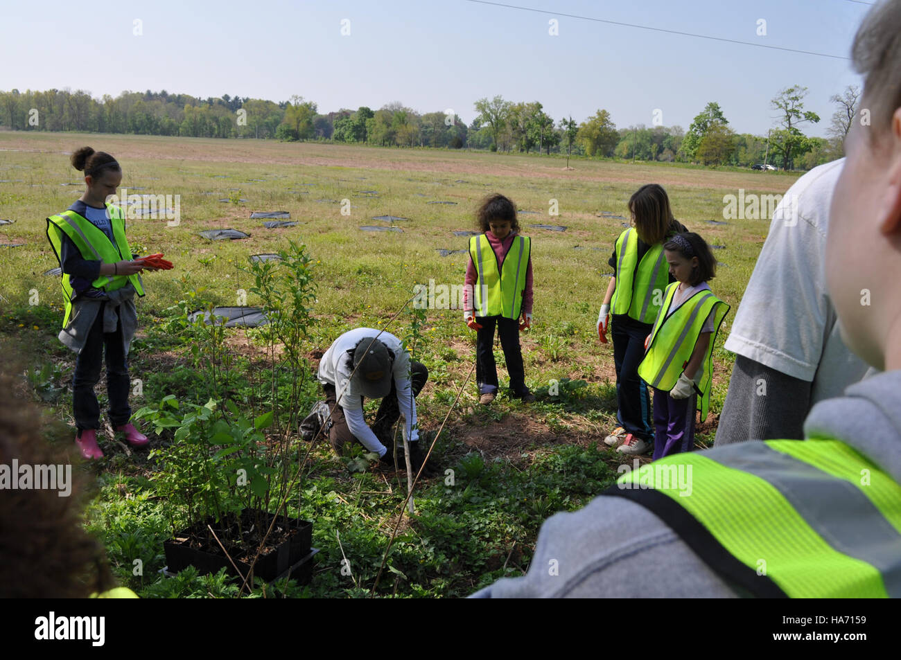 Nora plants a seedling as part of a community-led environmental restoration project in a ...