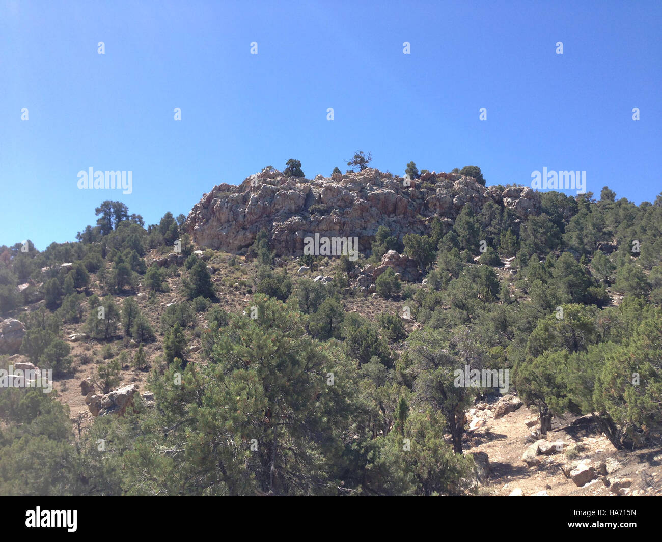 The Bureau of Land Management oversees trails in public lands, ensuring ...