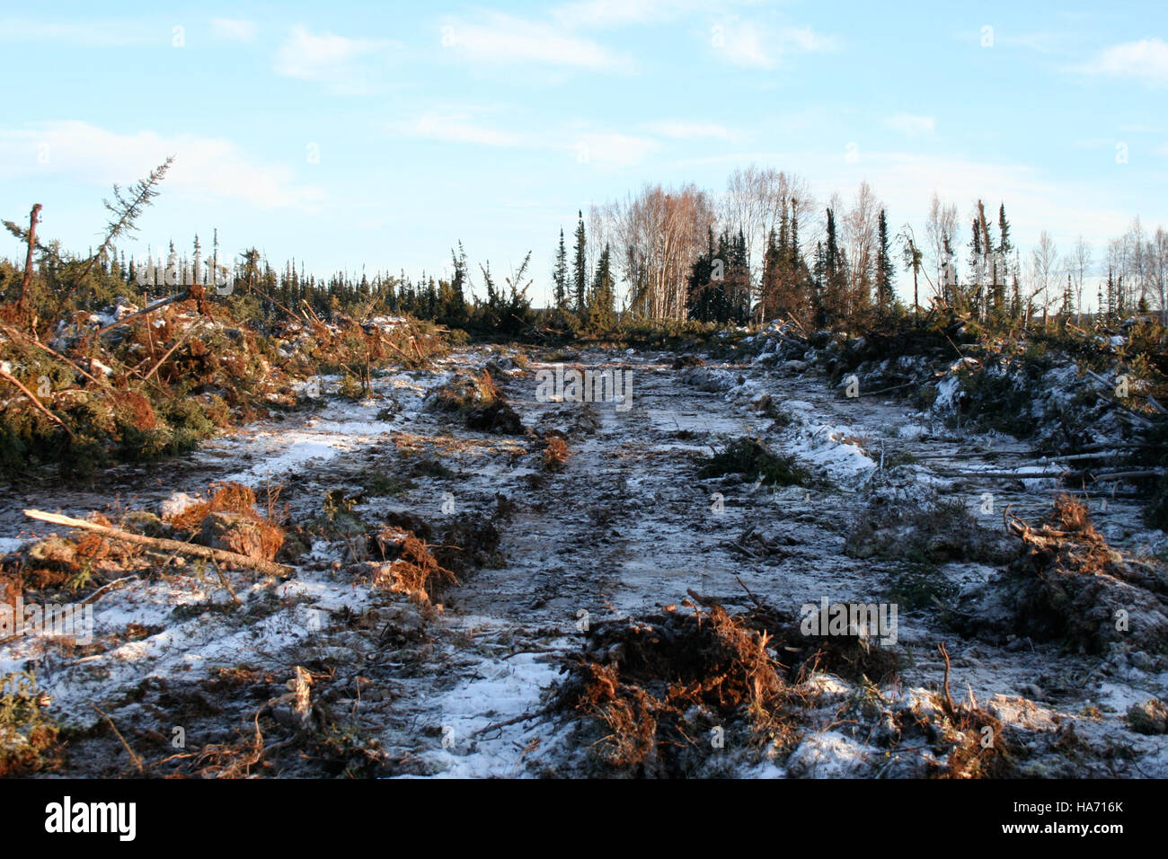 The Salcha River in Alaska's national park showcases pristine ...