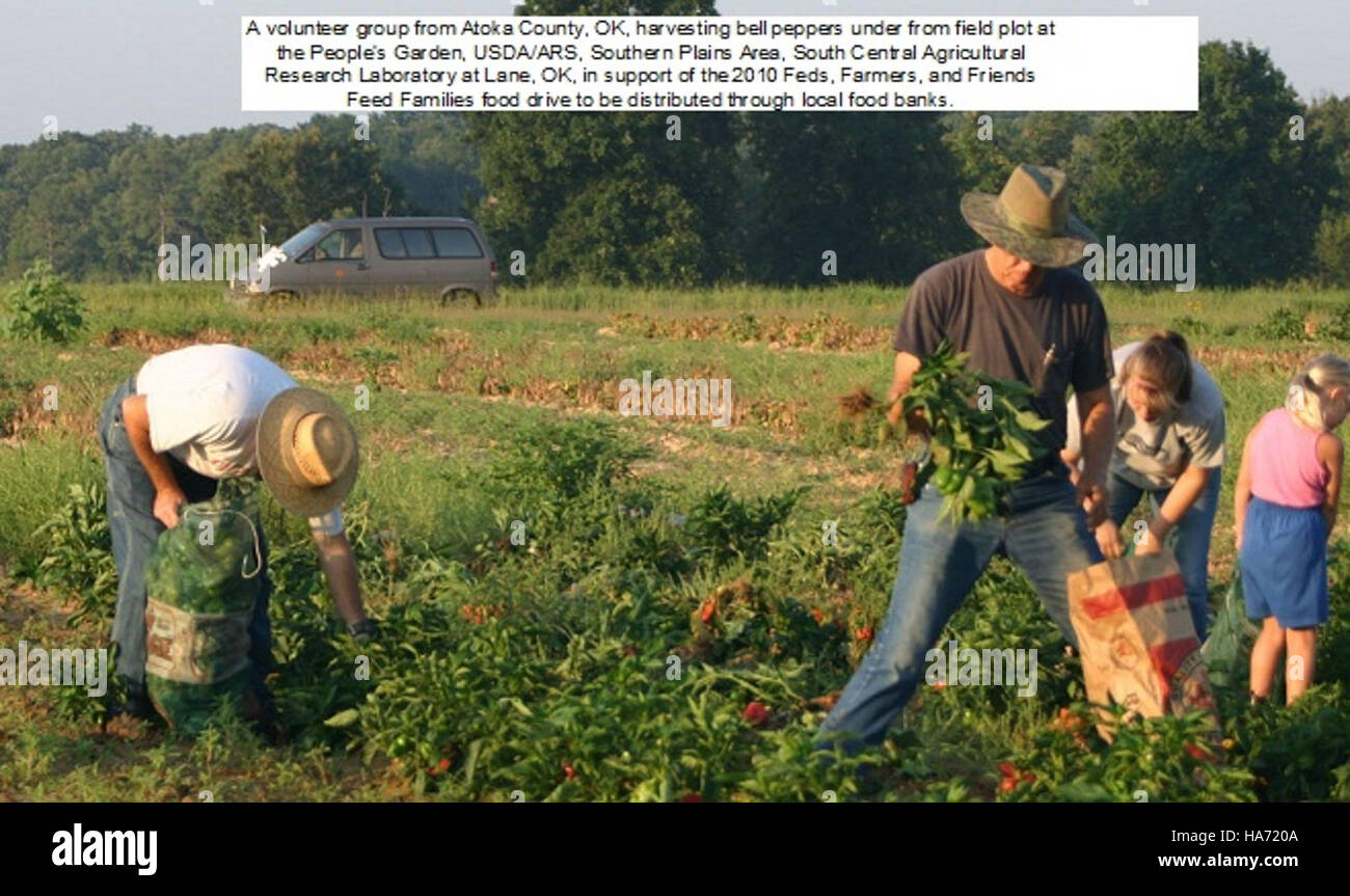 The glean hi-res stock photography and images - Alamy