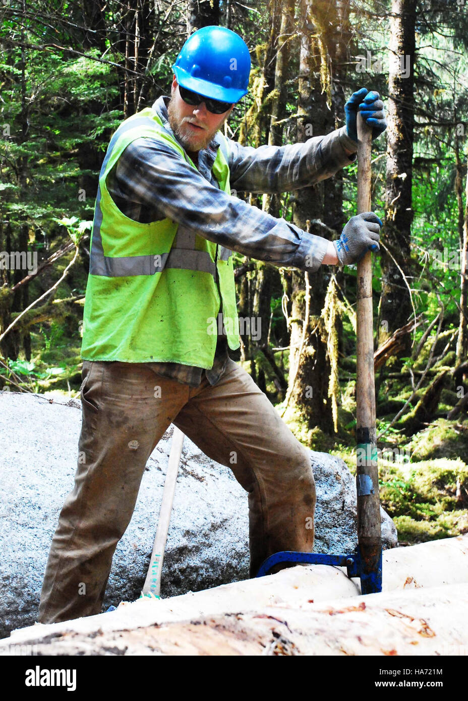 An image from the USDA showcasing environmental science and national ...