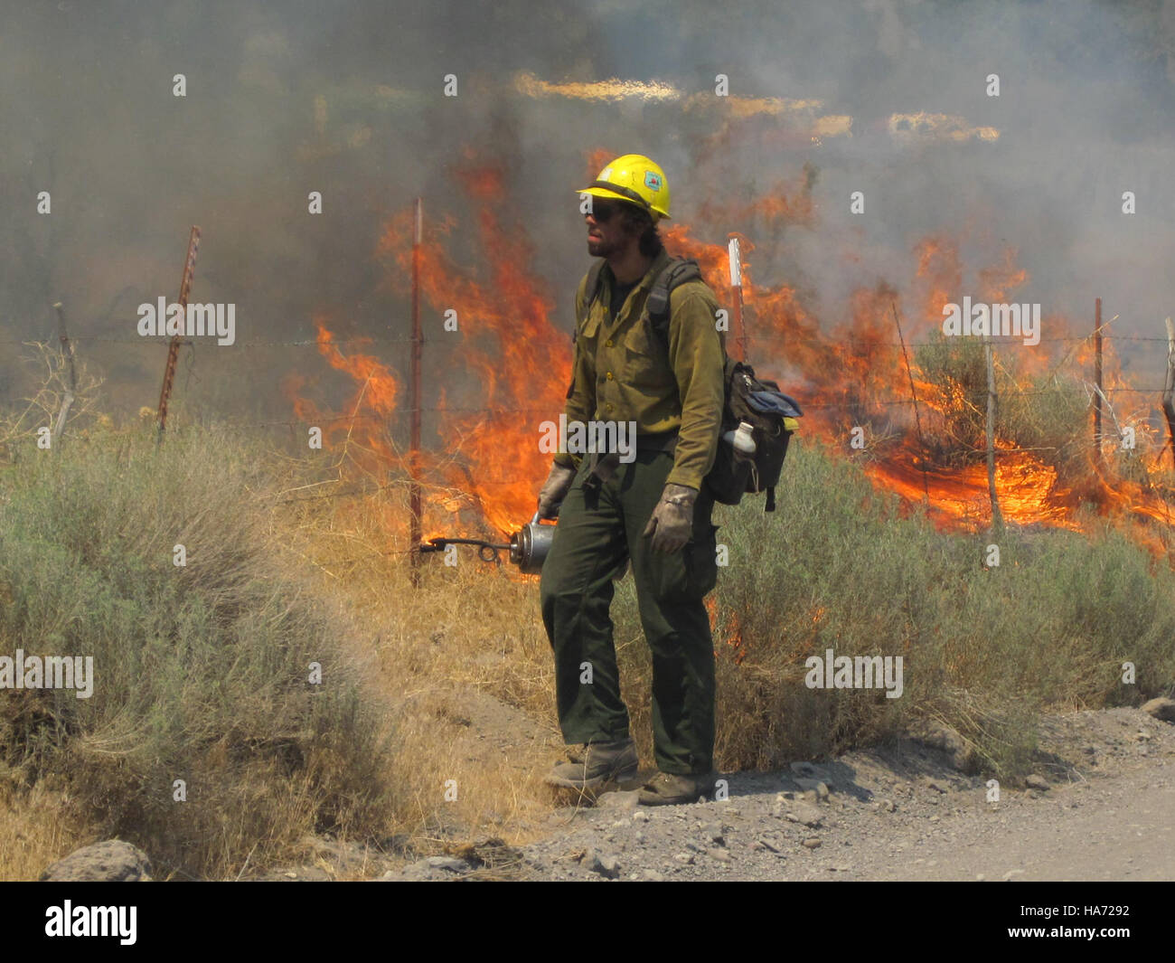 The Tahoe Hotshots are a specialized firefighting crew in Nevada ...