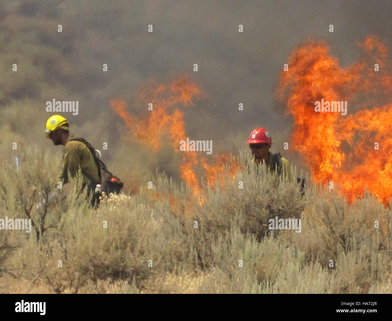 Firefighting team hi-res stock photography and images - Alamy