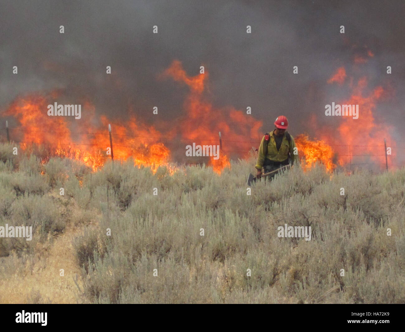 A photograph of the Tahoe Hotshots, an elite wildland firefighting crew ...