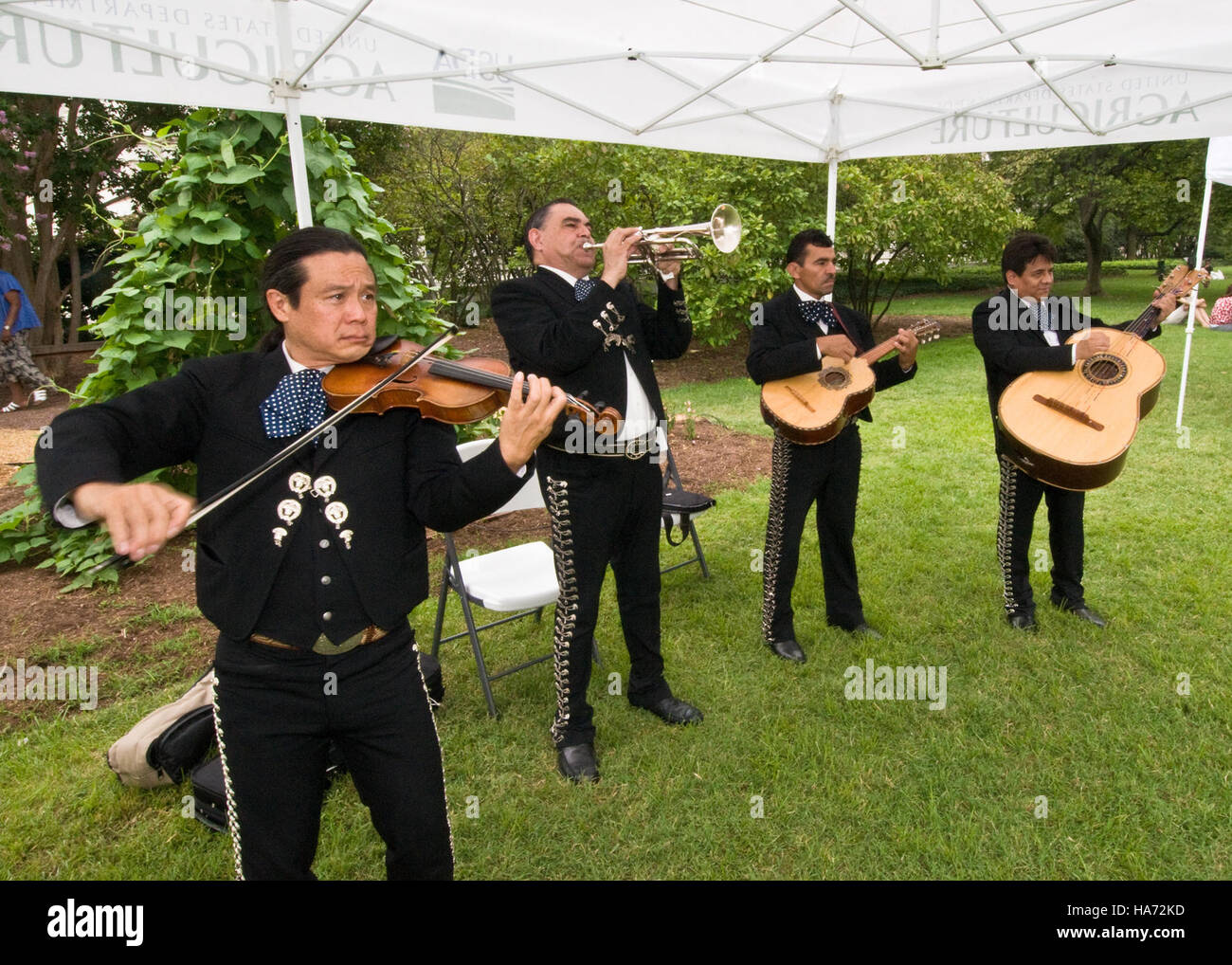 The photograph shows a Mariachi band performing at a Farmer’s Market in ...