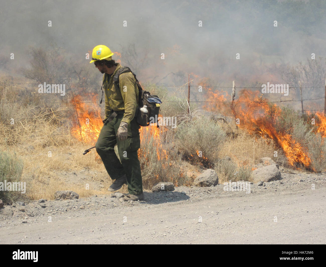 The Tahoe Hotshots are a renowned wildland fire crew based in Nevada ...