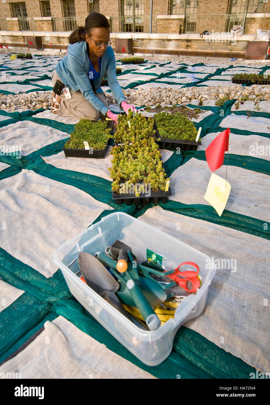 The Green Roof at the South Building of the United States Department of ...