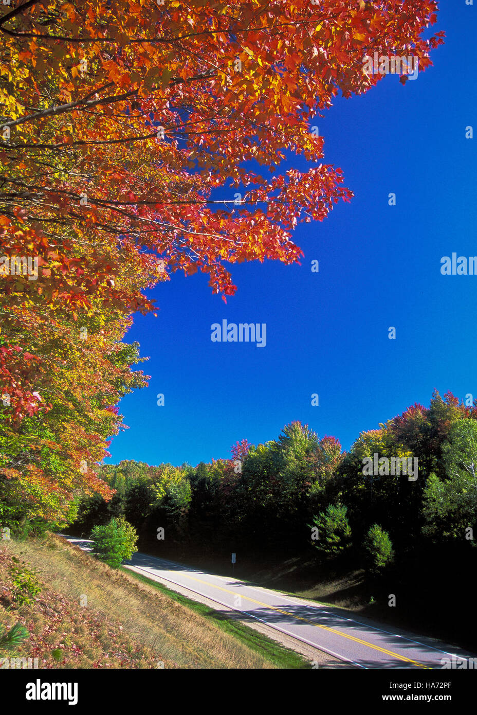 Photo captures autumn landscape hi-res stock photography and images - Alamy