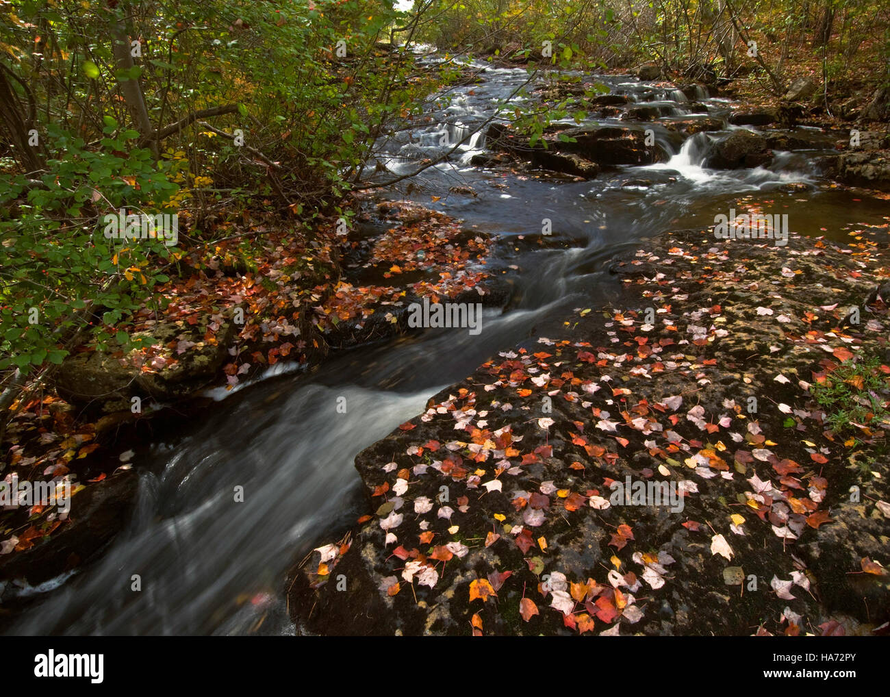 This photograph by the U.S. Forest Service captures the beauty of fall ...