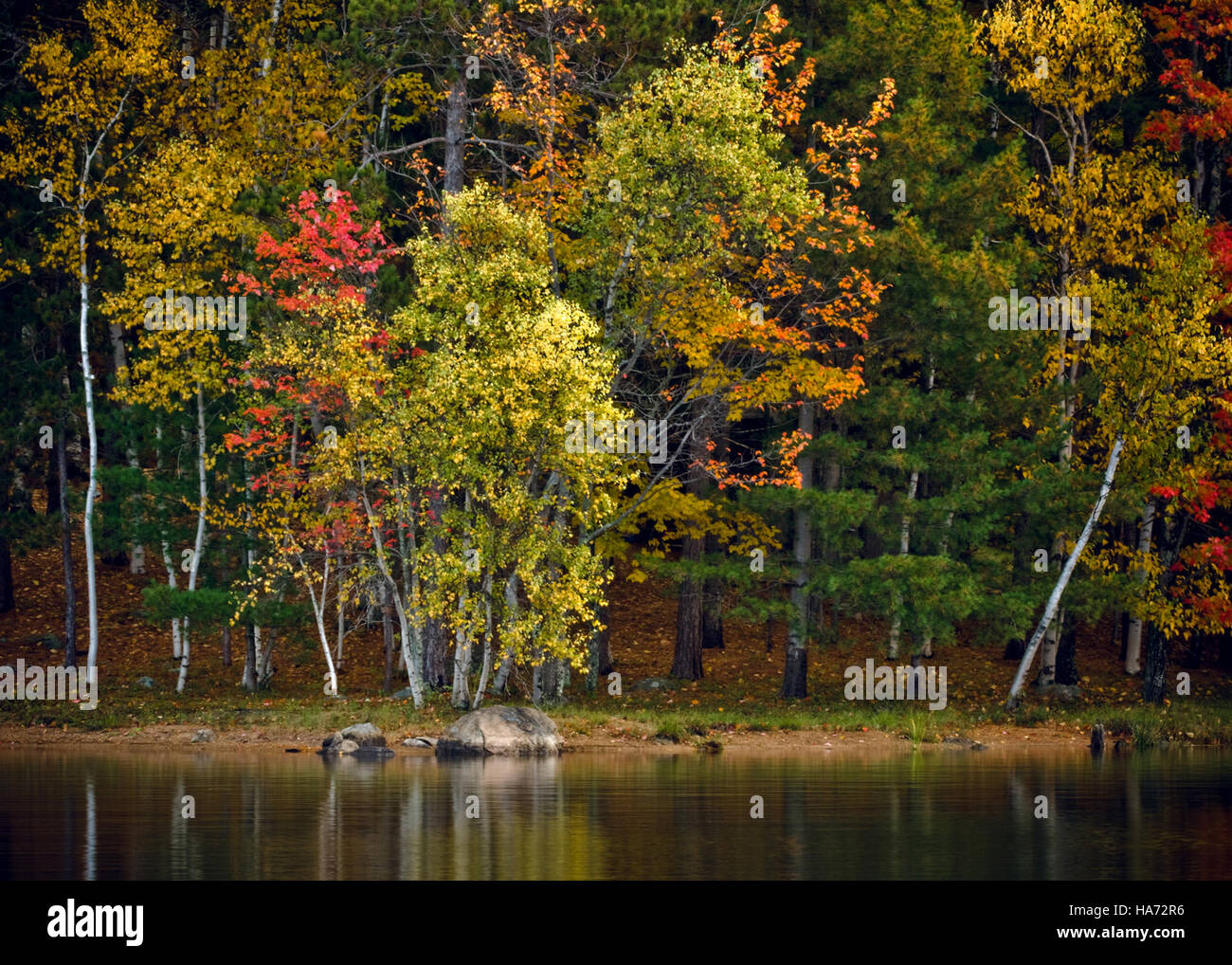 The U.S. Forest Service photograph captures the stunning fall colors ...