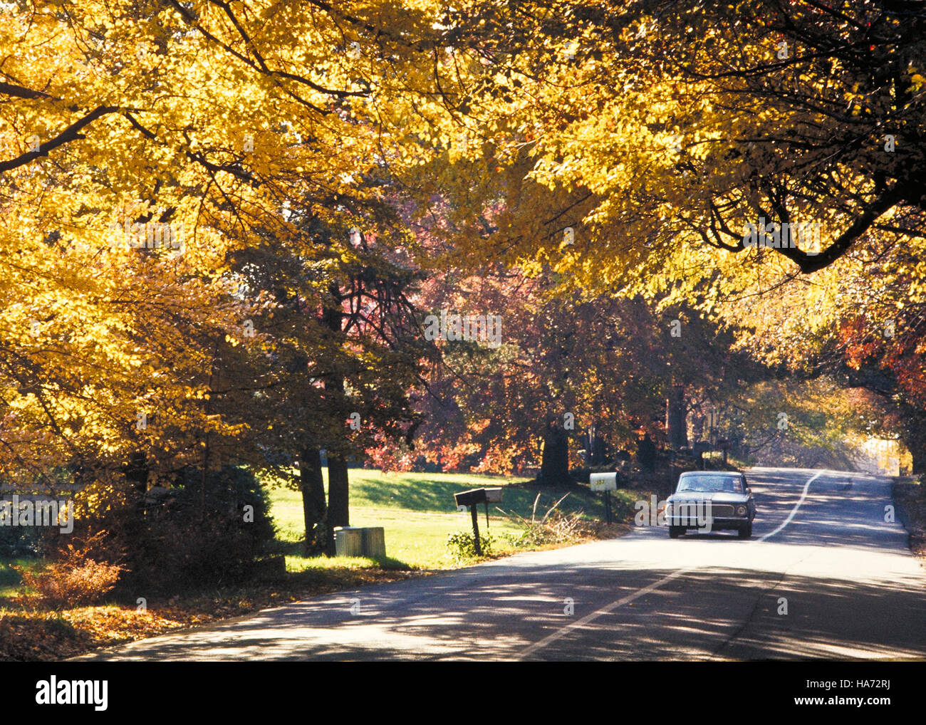 A scenic view of fall colors in the United States, showcasing vibrant ...