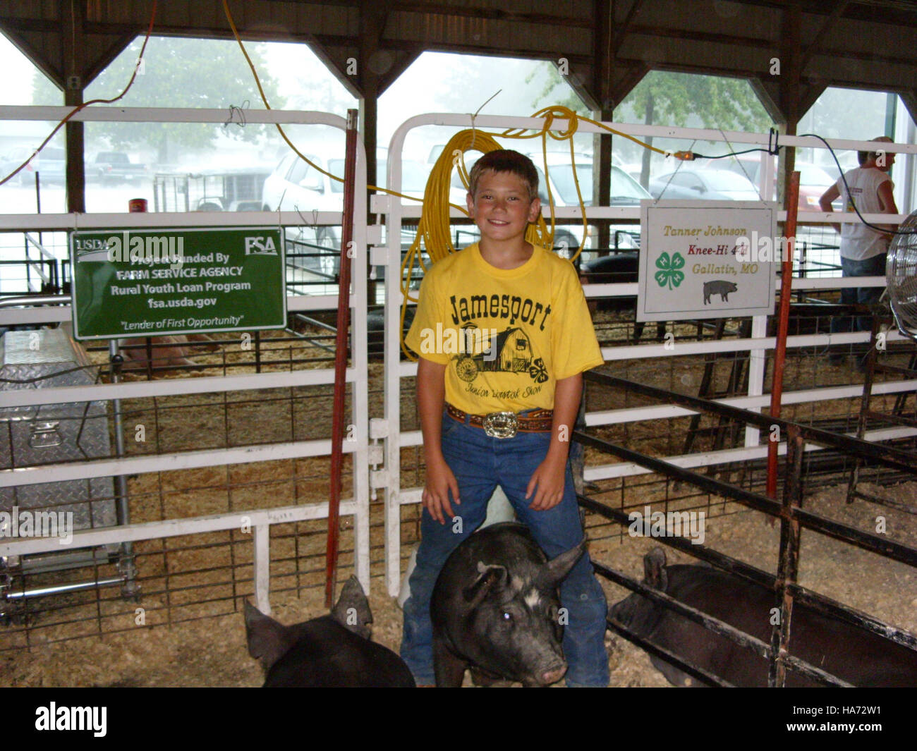 This historical photograph shows a tanner working with hogs and an FSA ...