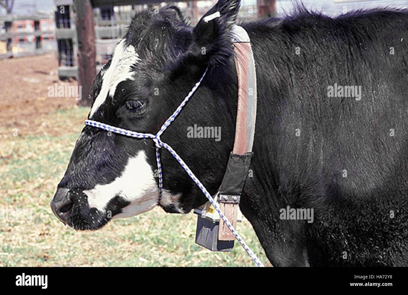 The image shows a USDA Agricultural Research Service (ARS) employee ...