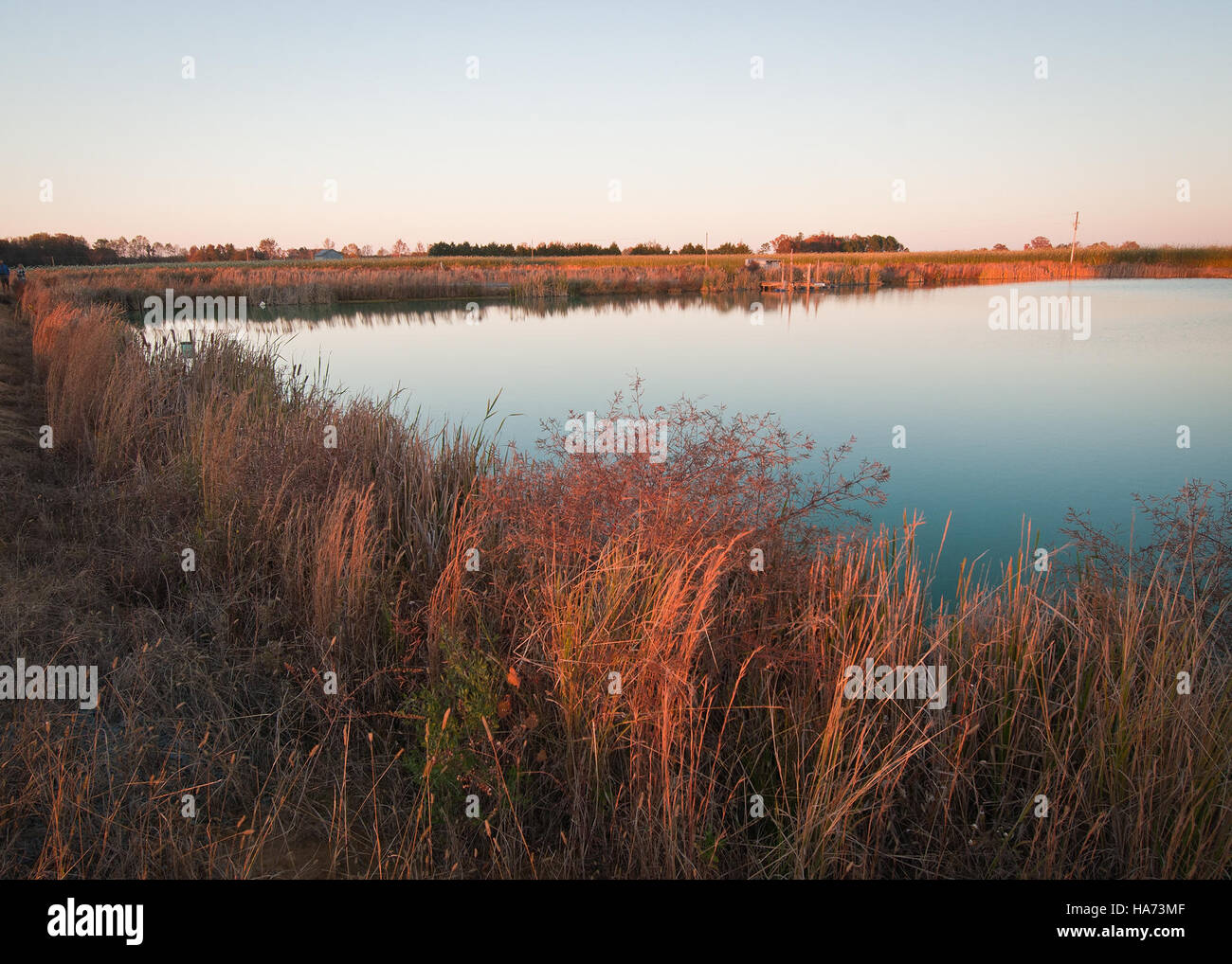 The American Prawn Cooperative's Annual Report highlights the work of ...