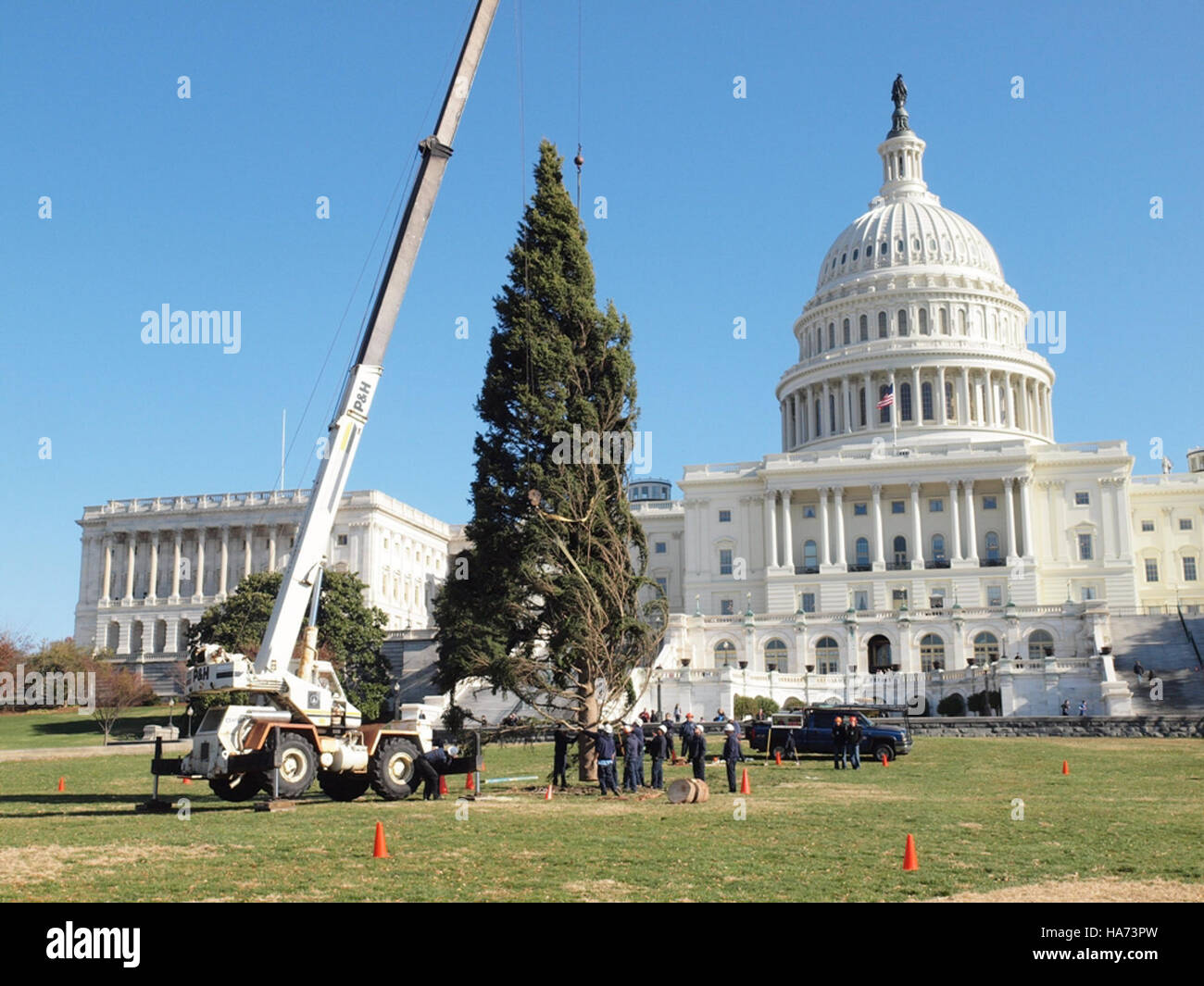 This image showcases the Capitol Tree, a symbolic representation of ...