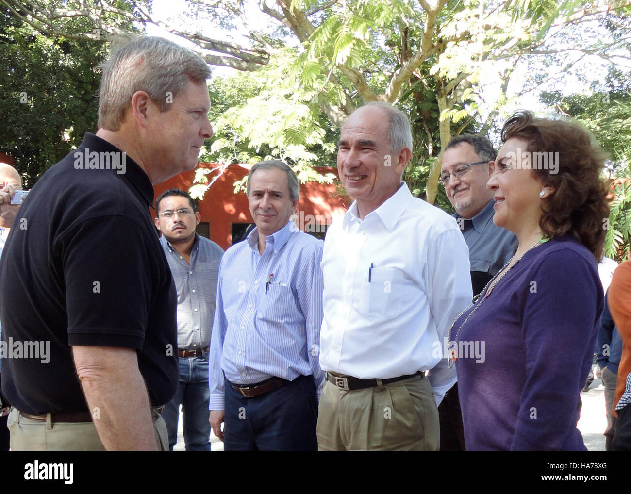 Francisco mayorga hi-res stock photography and images - Alamy