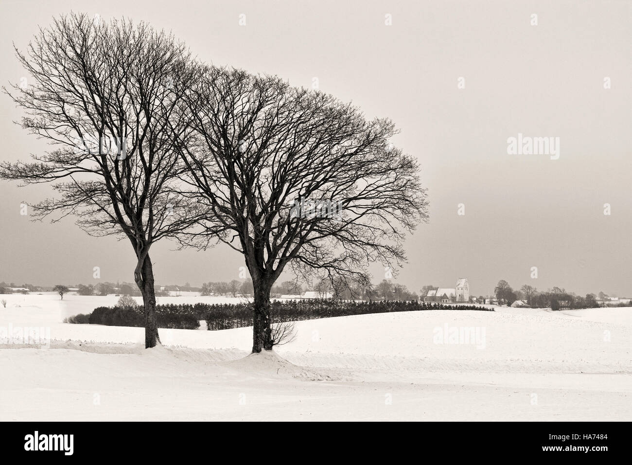 Black and white shot of a winter landscape on a gray day Stock Photo ...