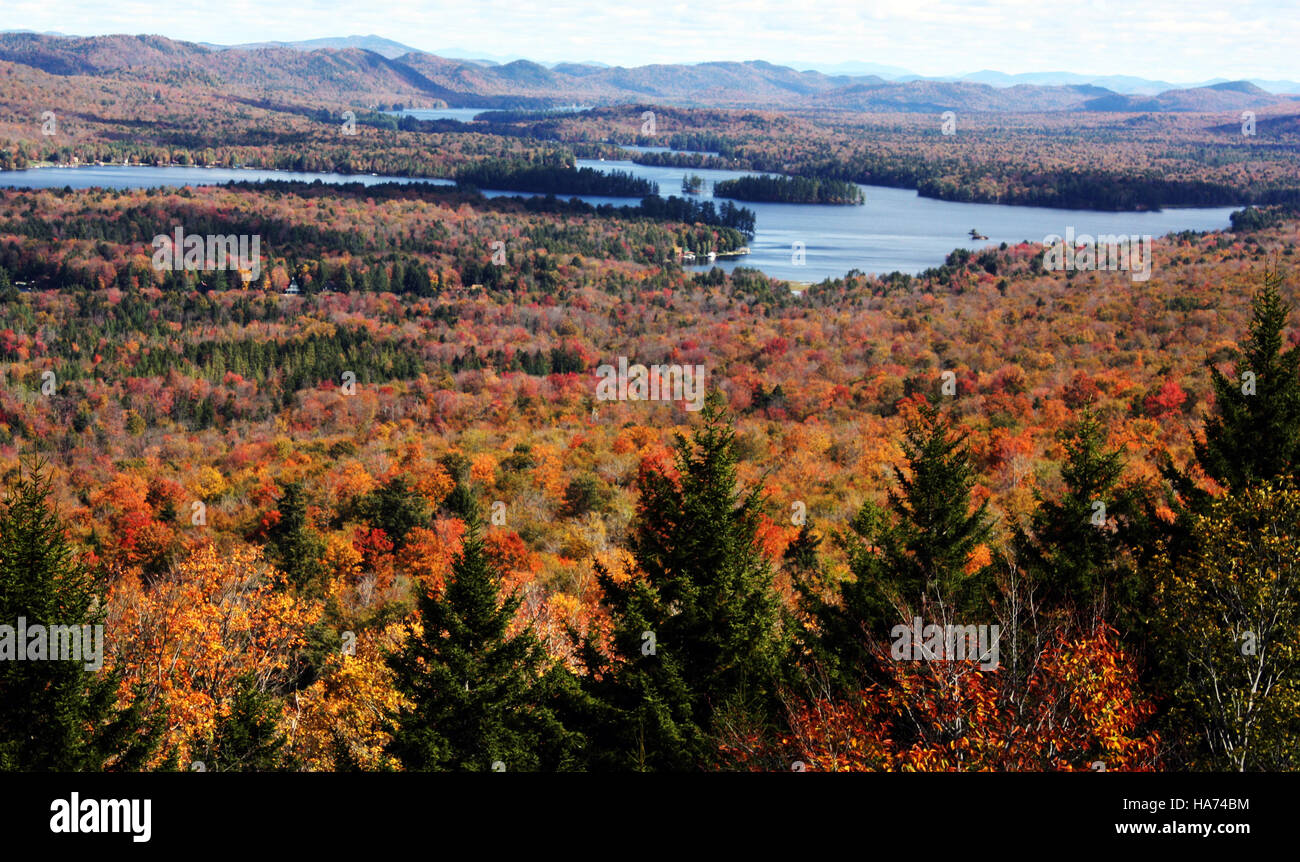 View of forest in stunning fall foliage with Gray Lake and mountains in ...