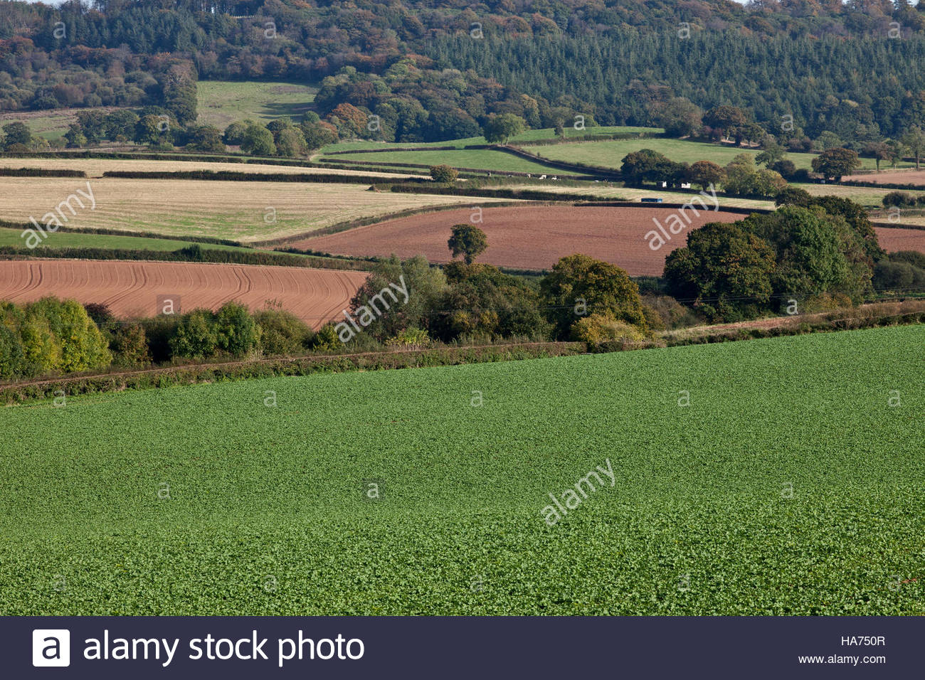 Devon Farm Land High Resolution Stock Photography and Images - Alamy