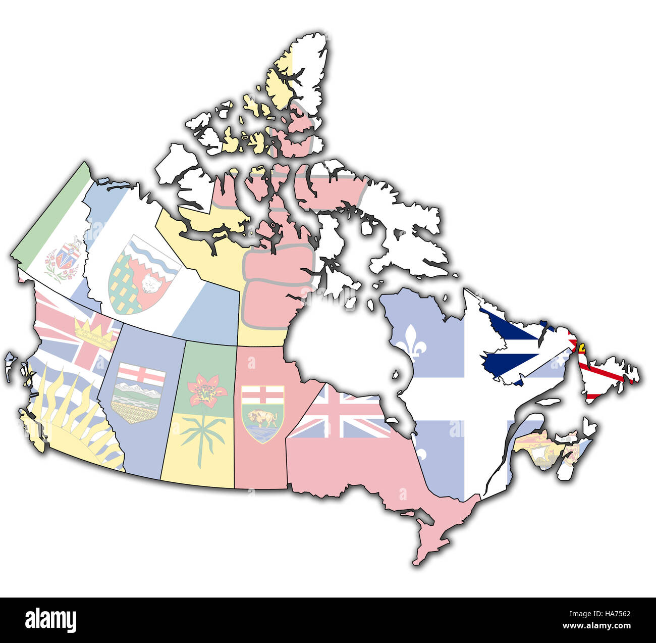Newfounland labrador hi-res stock photography and images - Alamy