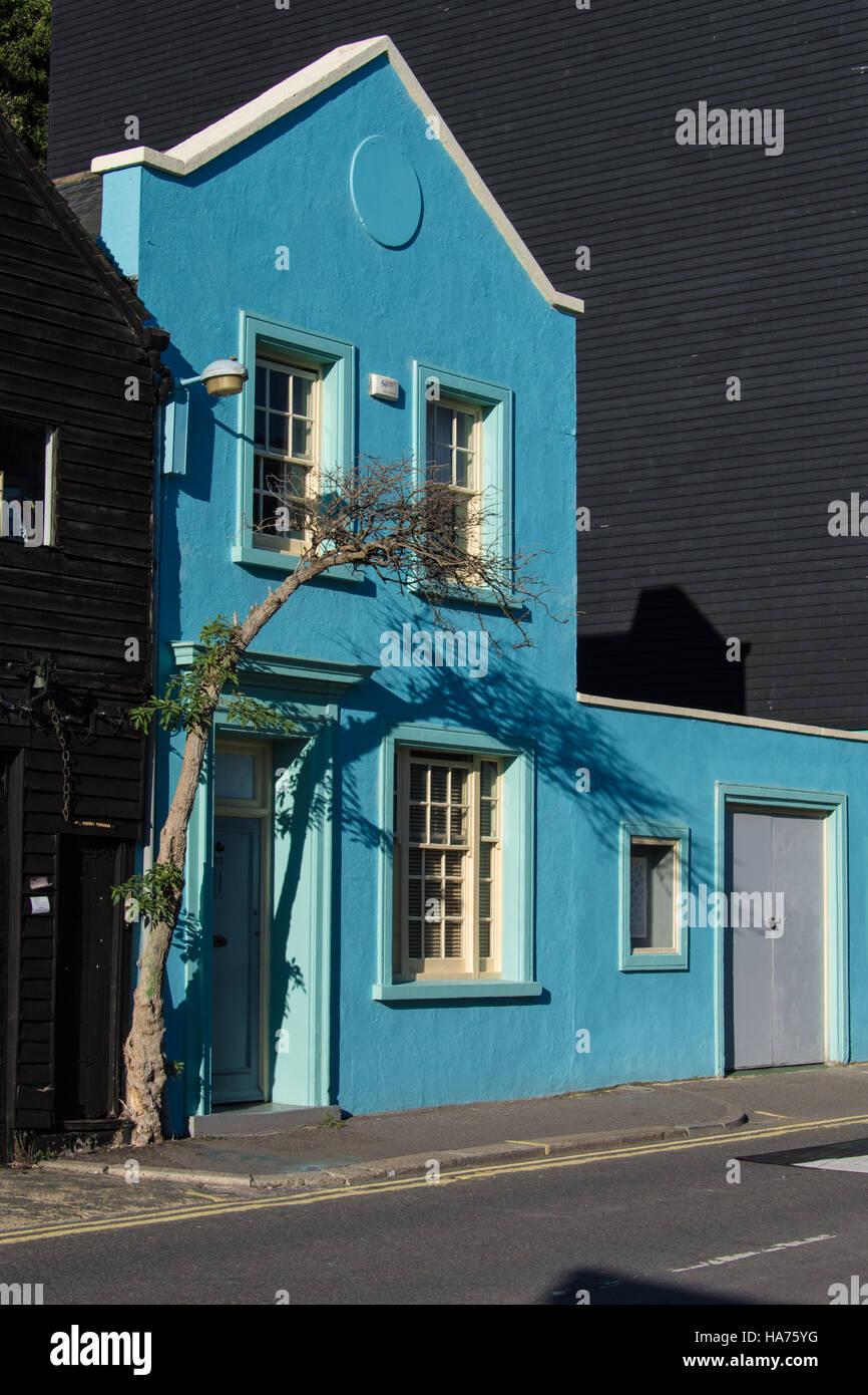 Blue house with tree, Hastings, Kent, England Stock Photo - Alamy