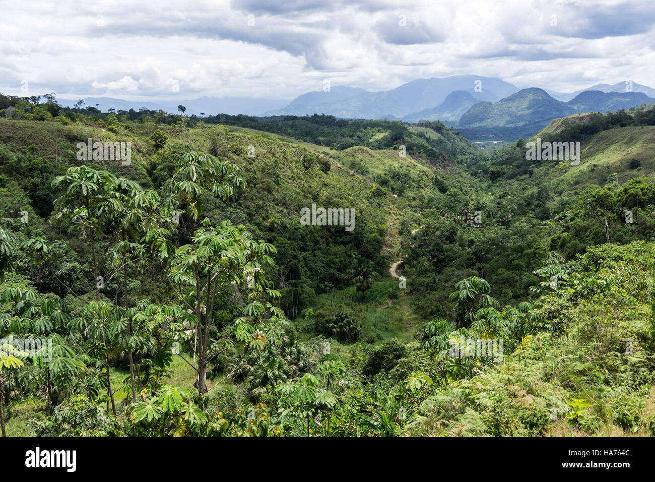 Amazon mountain hi-res stock photography and images - Alamy