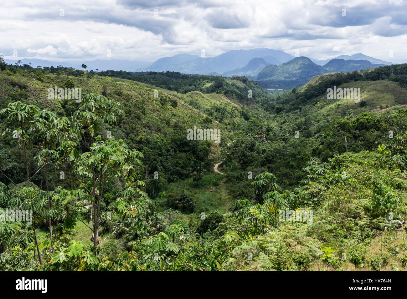 Amazon mountain hi-res stock photography and images - Alamy