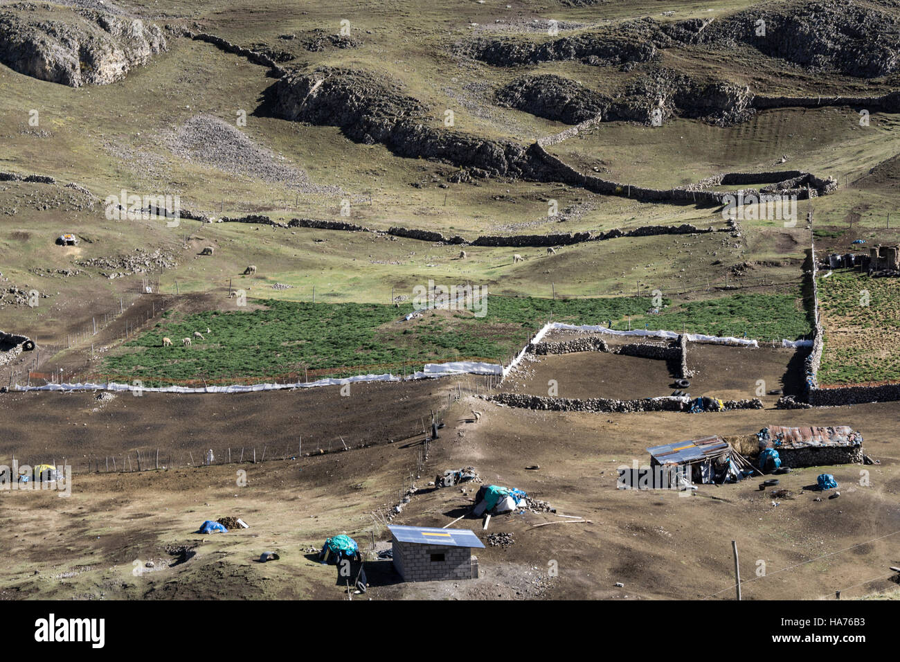 Peruvian trekking hi-res stock photography and images - Alamy