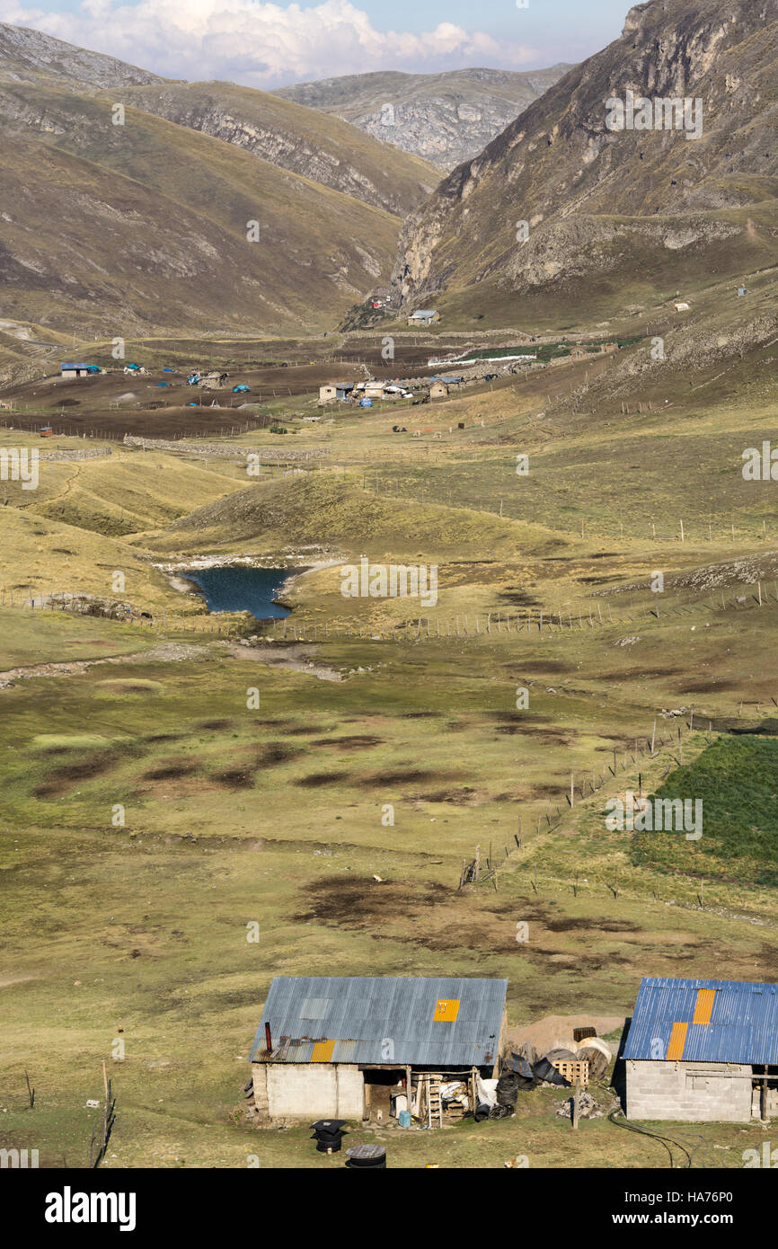 Farms of llamas and alpacas in the Peruvian highlands. Pasco, Peru ...