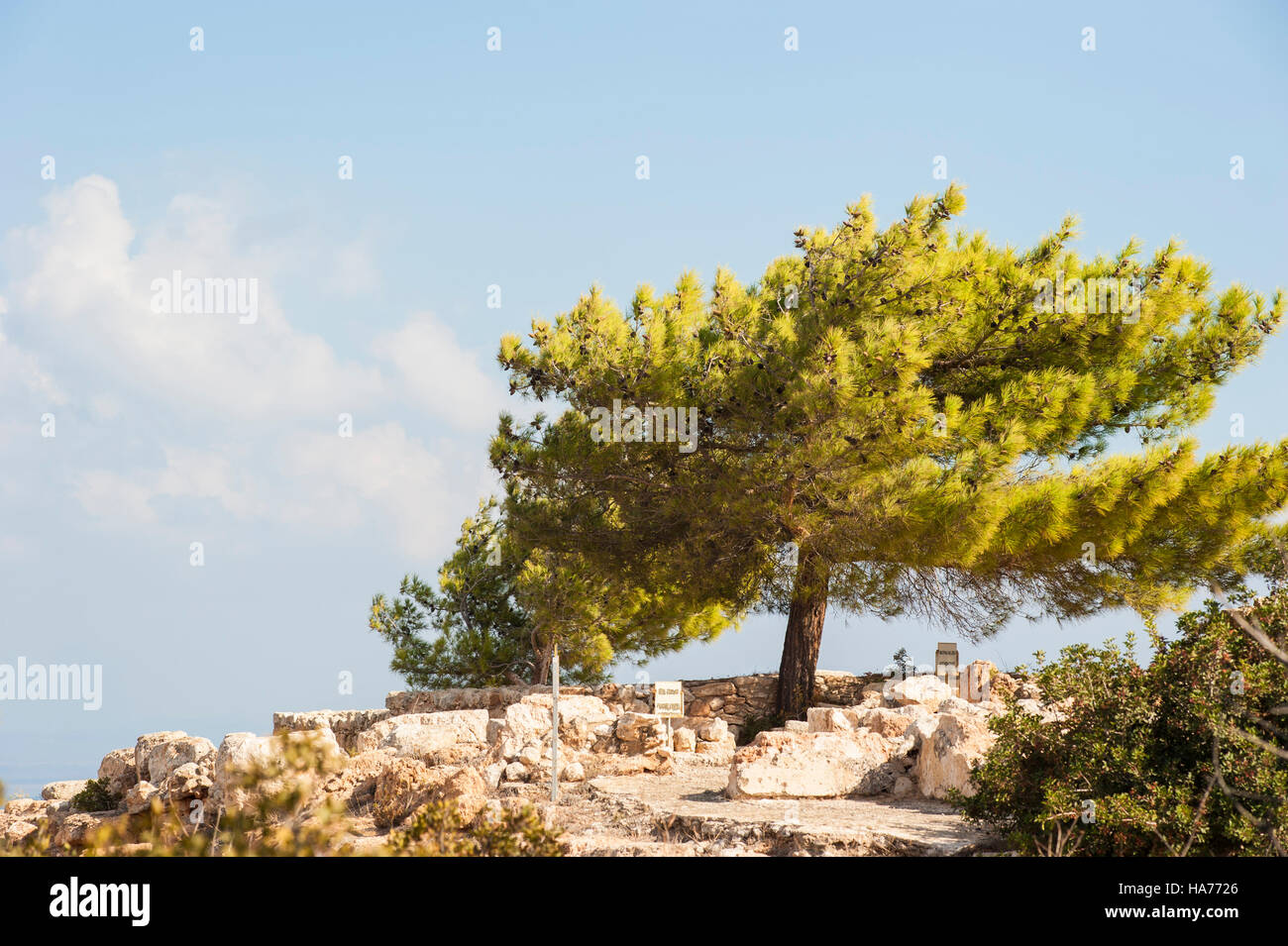 Ruins of Vouni Palace, Northern Cyprus Stock Photo - Alamy