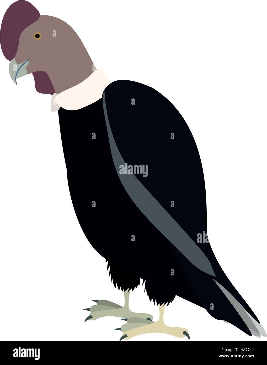 Andes range wildlife Stock Vector Images - Alamy