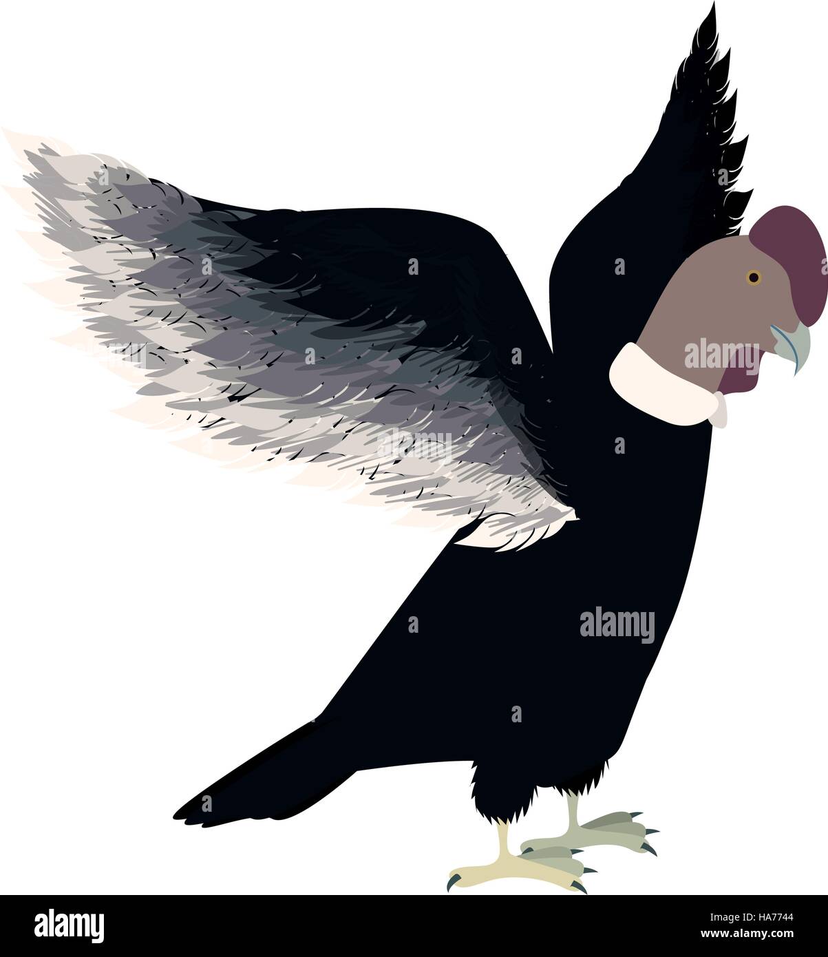 condor animal bird icon with opened wings vector illustration Stock ...