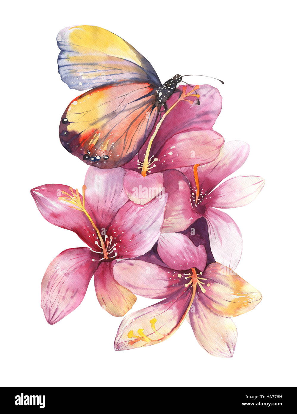 Hand drawn watercolor illustration in vintage style. watercolour Stock ...