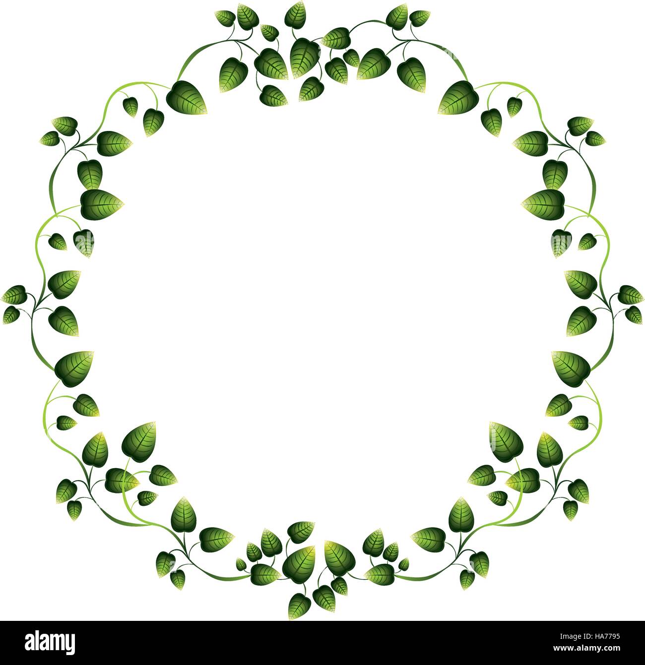 border green leaves with creepers vector illustration Stock Vector ...
