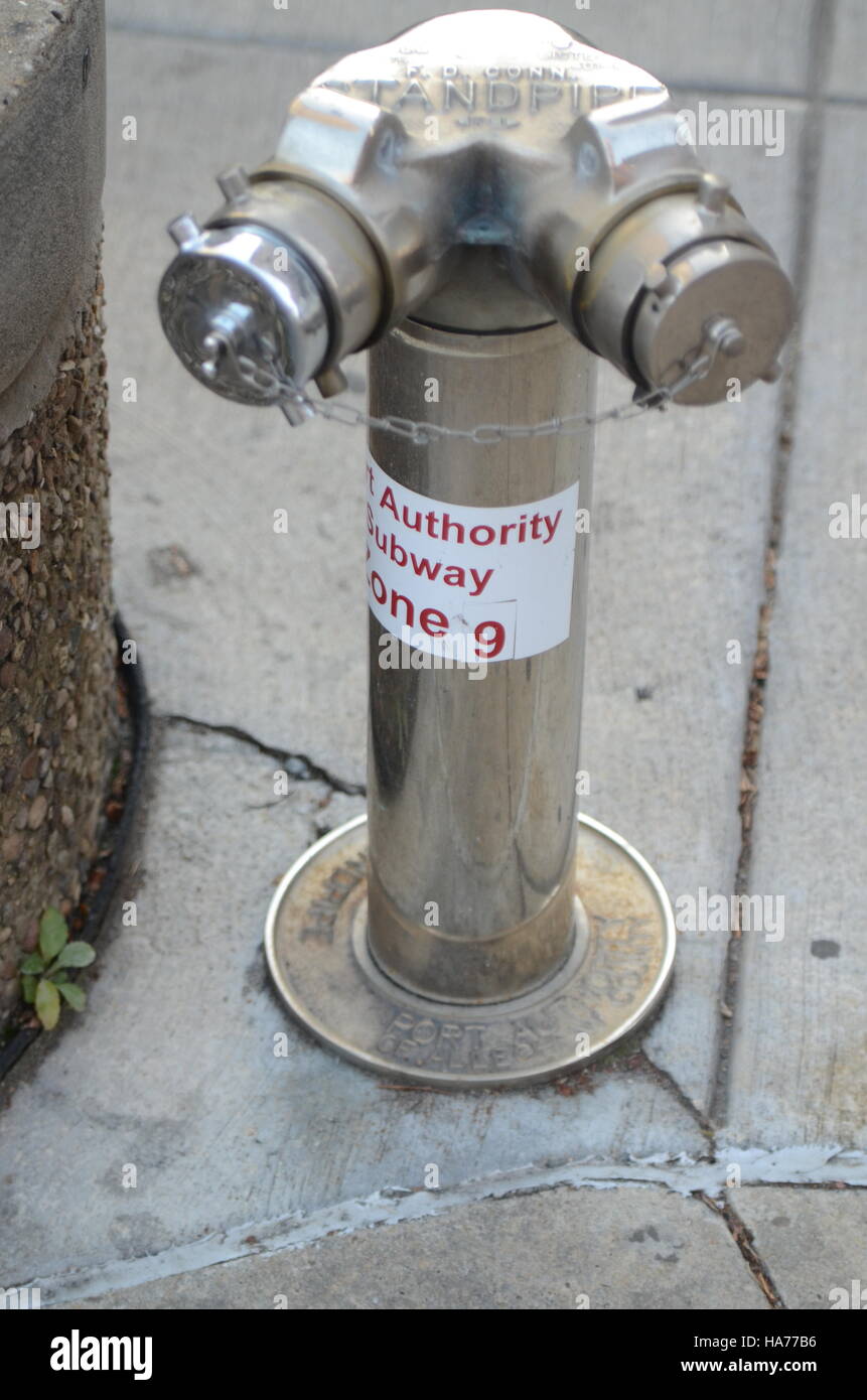 Fire Hydrant on paved road Stock Photo - Alamy