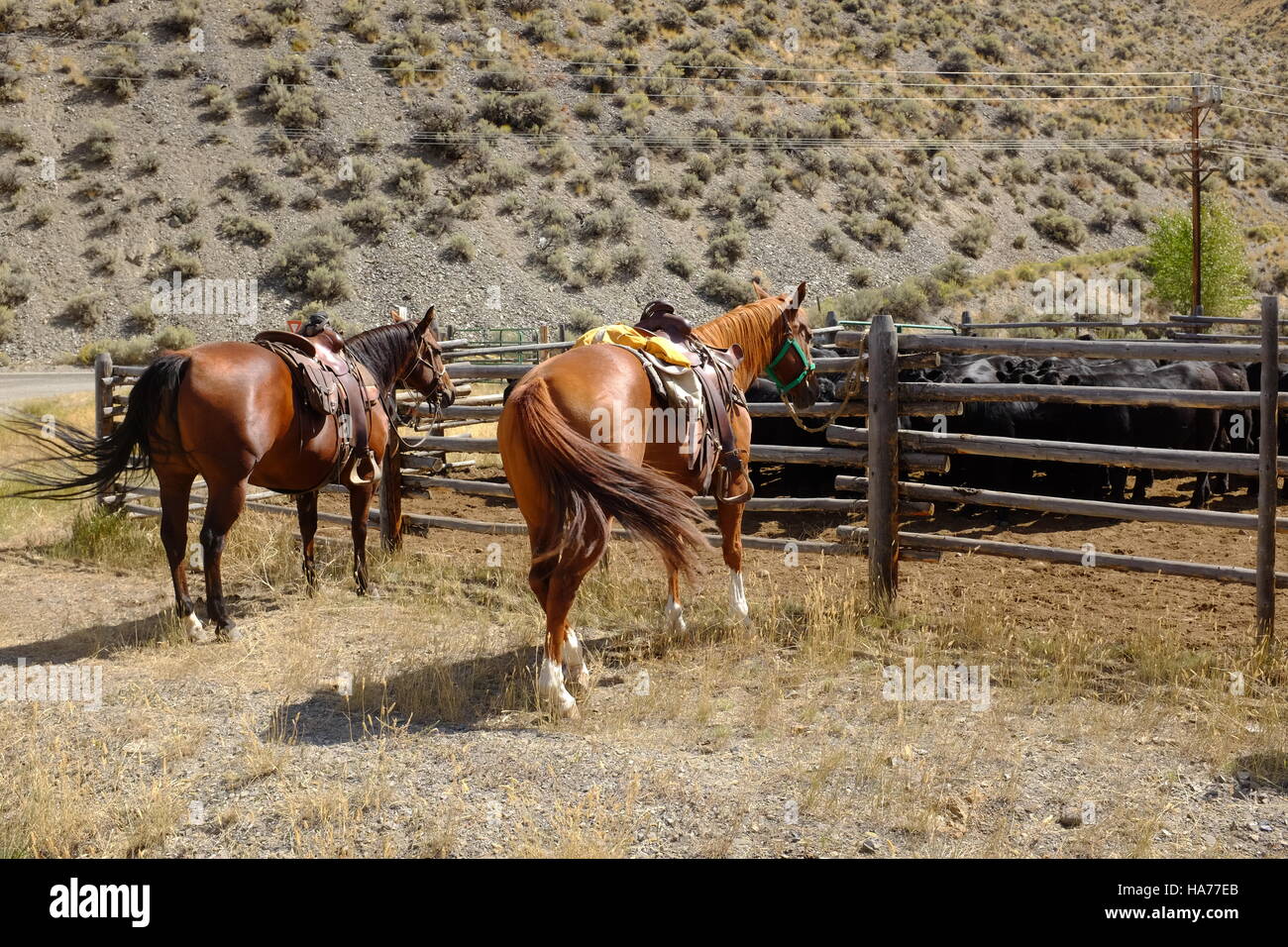 Cowboys on fence hi-res stock photography and images - Alamy