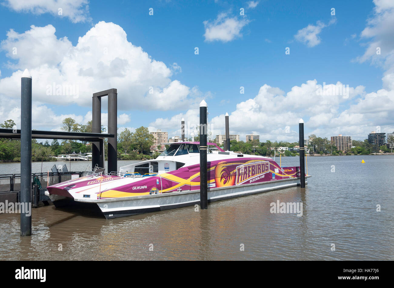 Translink catamaran at West End Ferry Terminal, West End, Brisbane ...