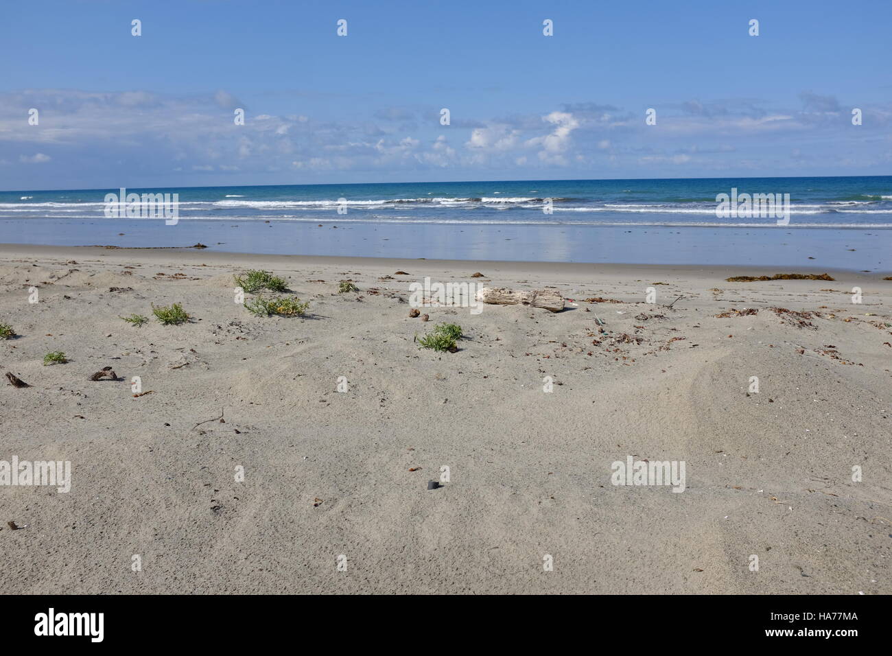 Steelhead beach hi-res stock photography and images - Alamy