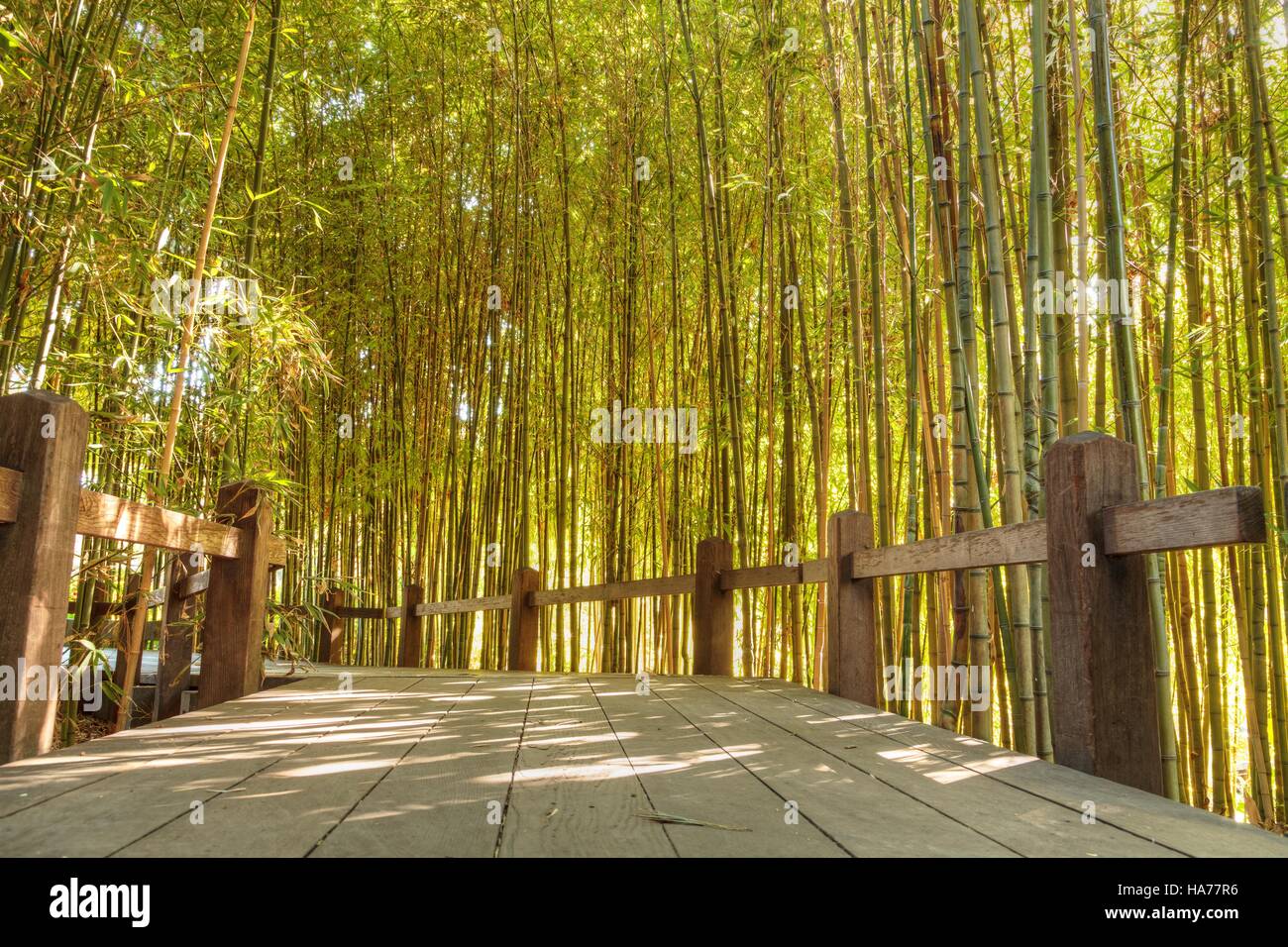 Chinese bamboo garden hi-res stock photography and images - Alamy