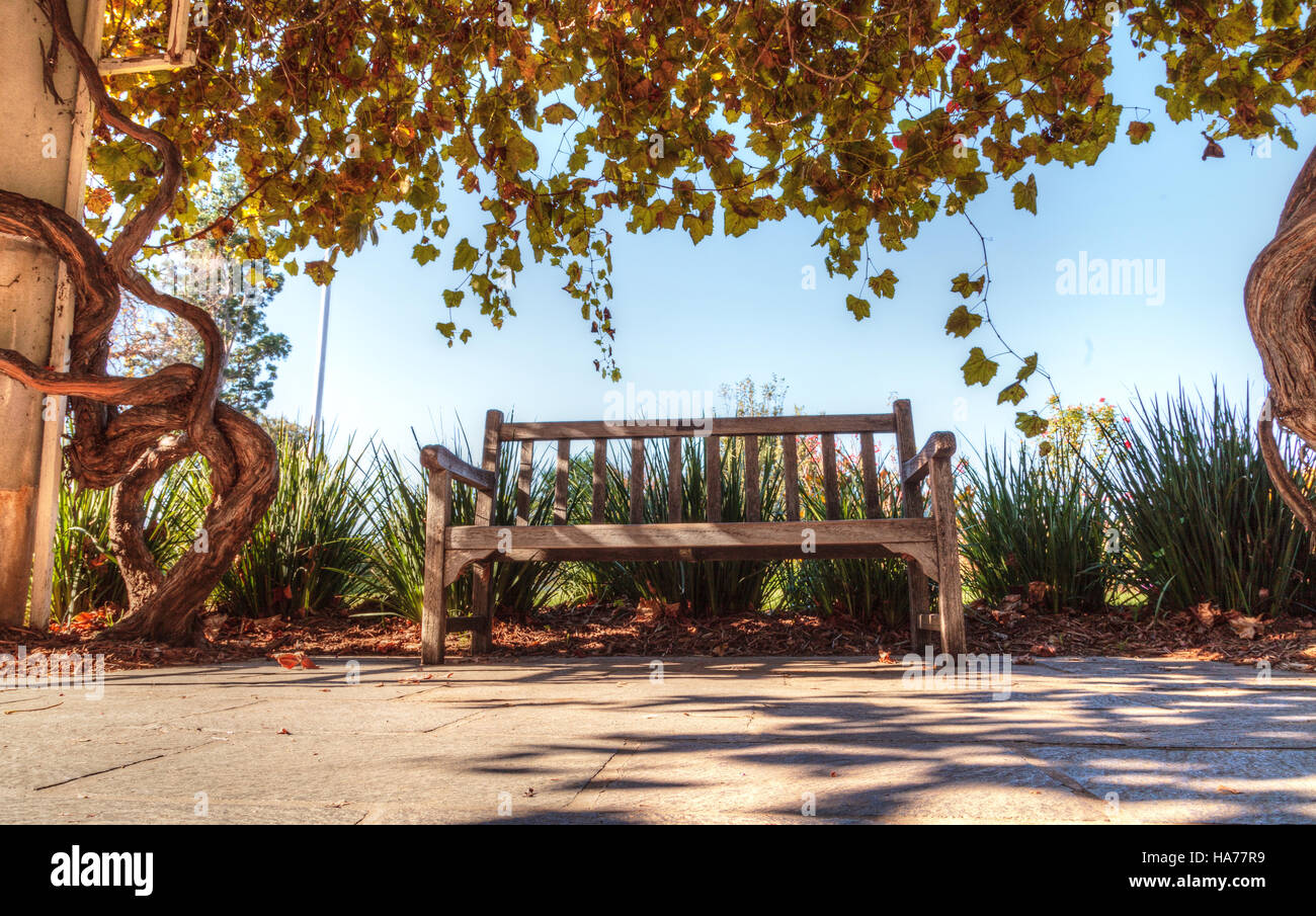 Worn wood bench under the shade of a wisteria vine Stock Photo - Alamy