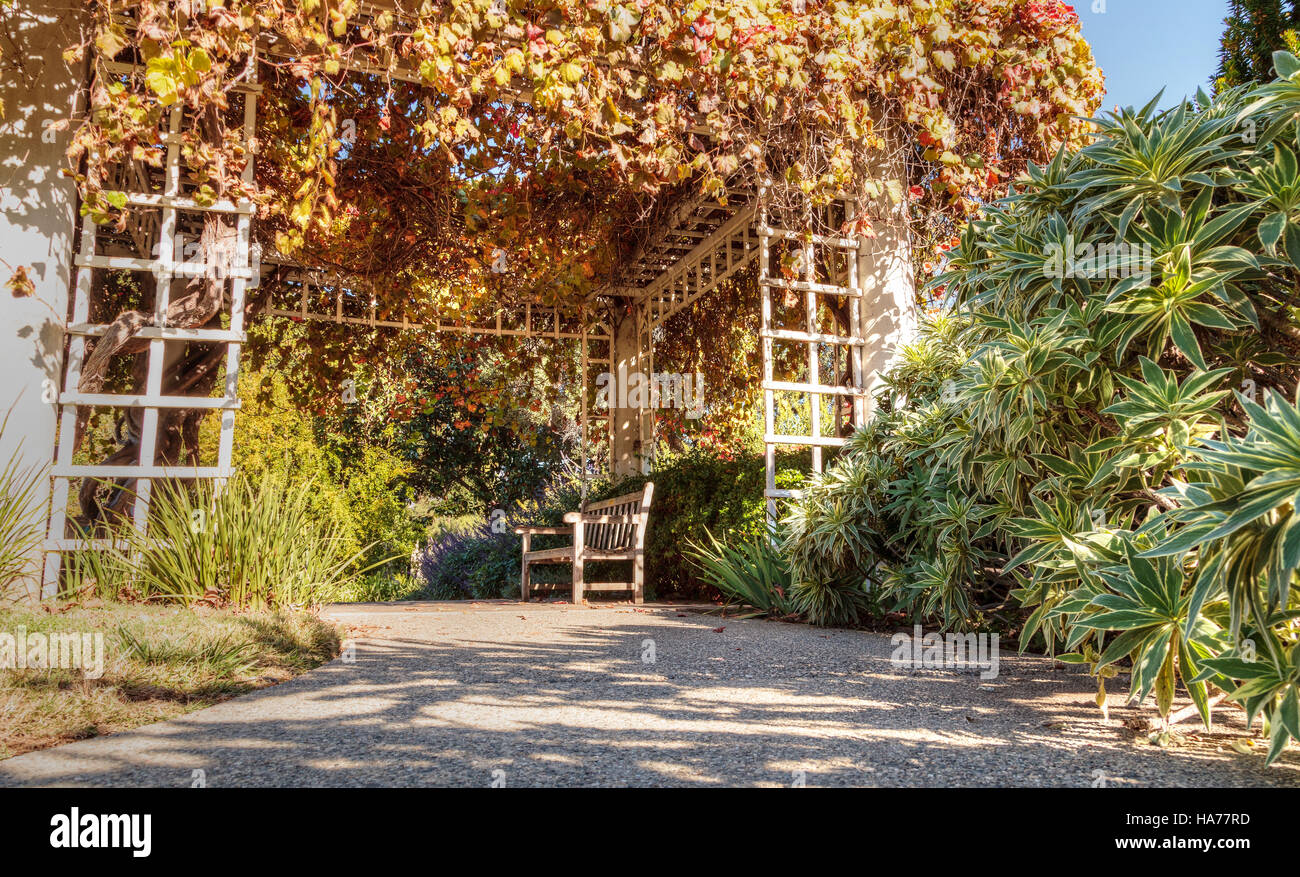 Worn wood bench under the shade of a wisteria vine Stock Photo - Alamy