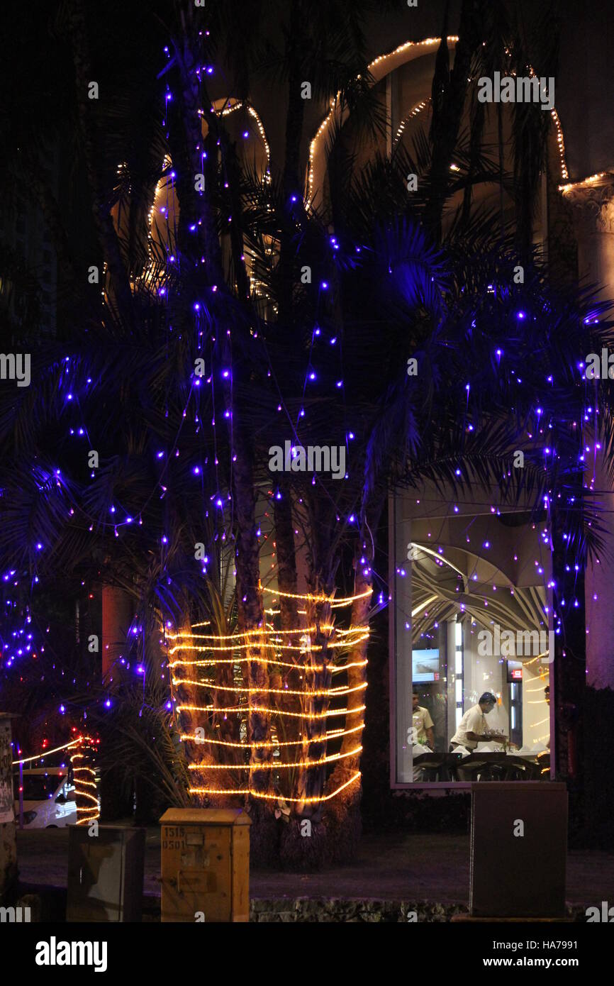 Tree light ceremony hi-res stock photography and images - Alamy