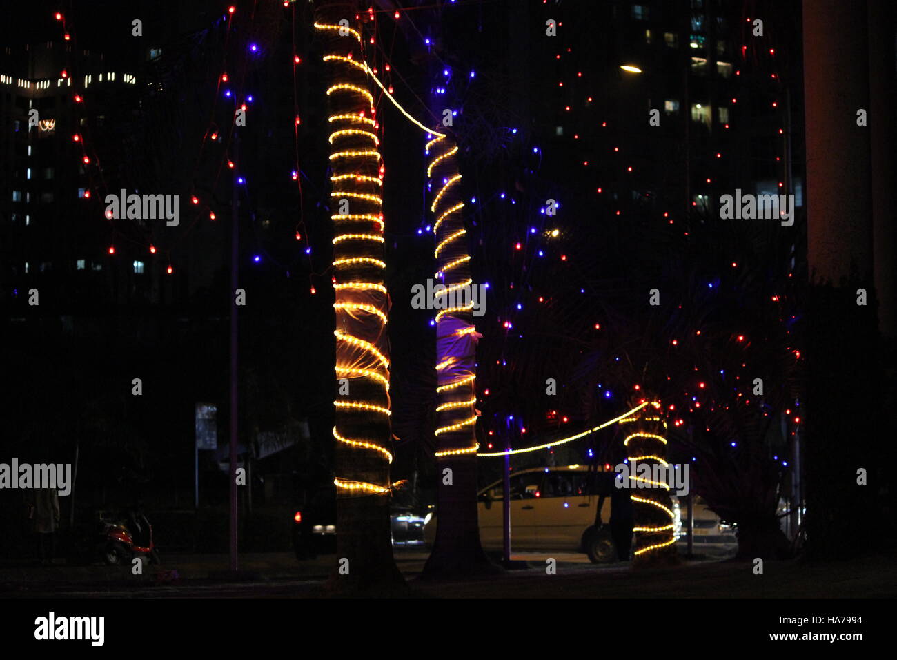 Christmas or Diwali tree lighting ceremony Stock Photo - Alamy